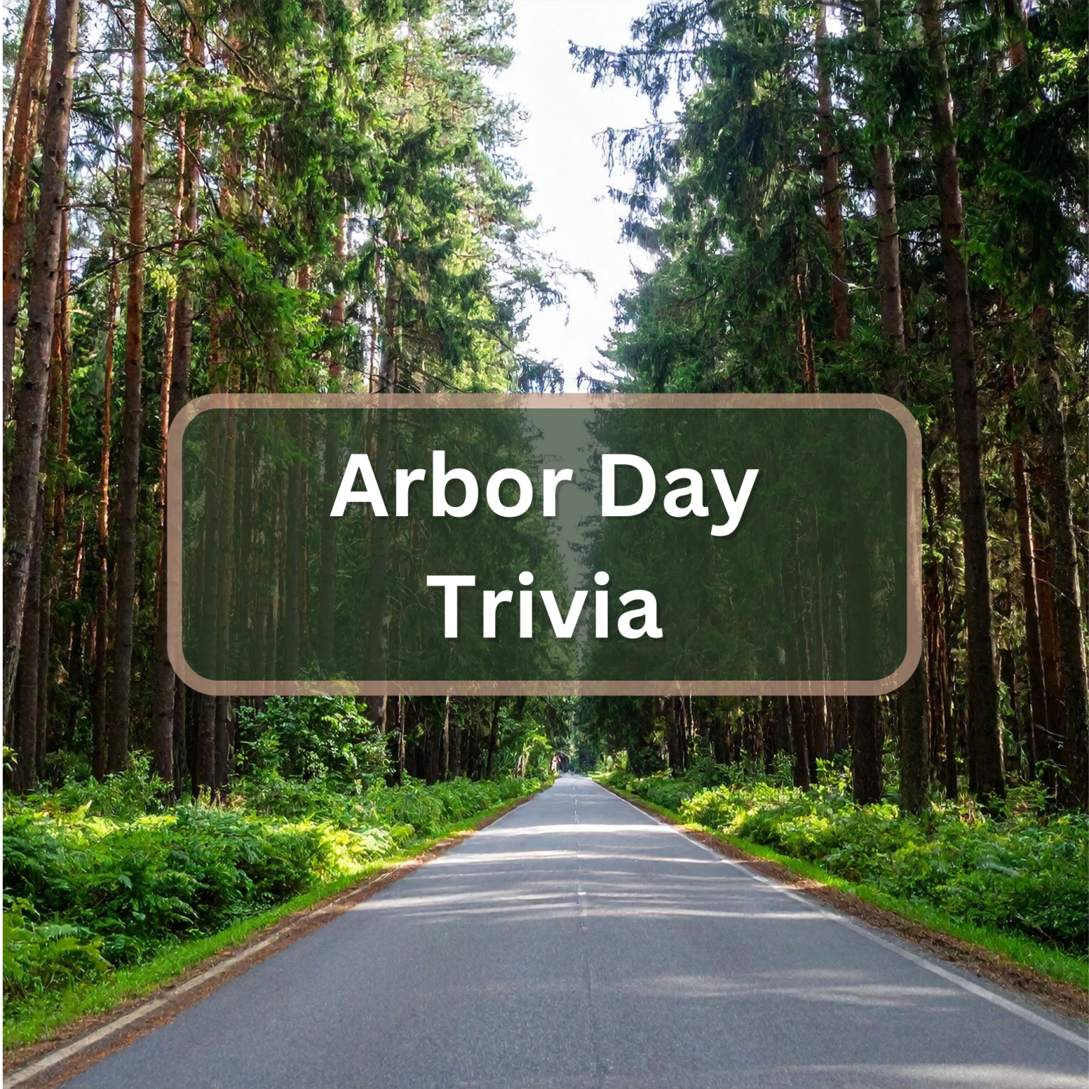 50 Kansas Trivia Questions and Answers - Everything Trivia